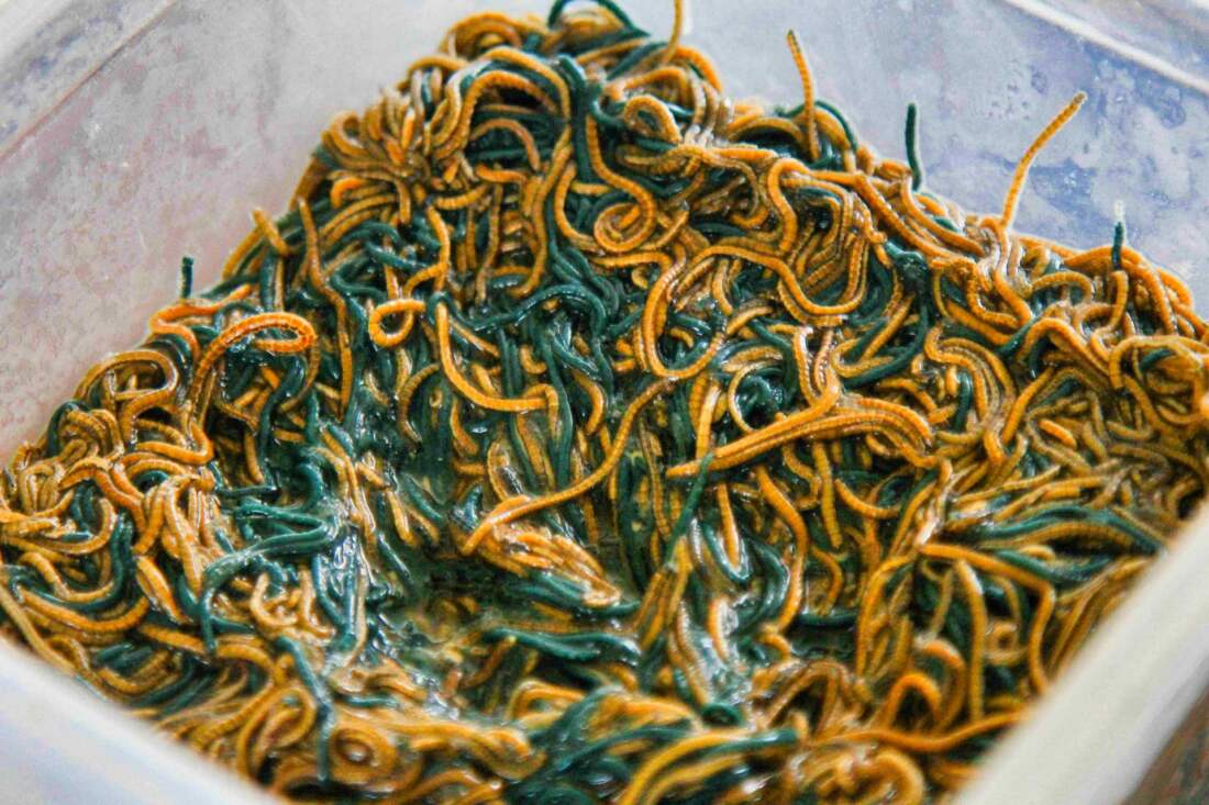 Austrália a Oceánia: Zaujímavosti. Navštív netradičné miesta!