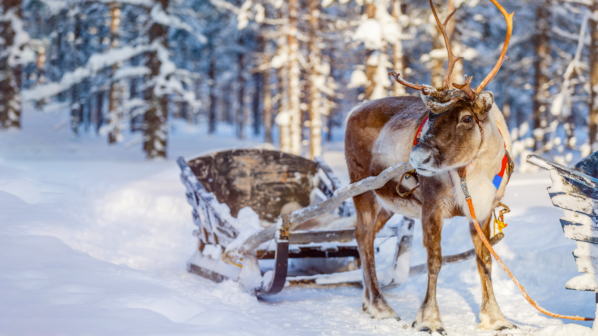 Fínsko: Zaujímavosti. Navštív netradičné miesta!