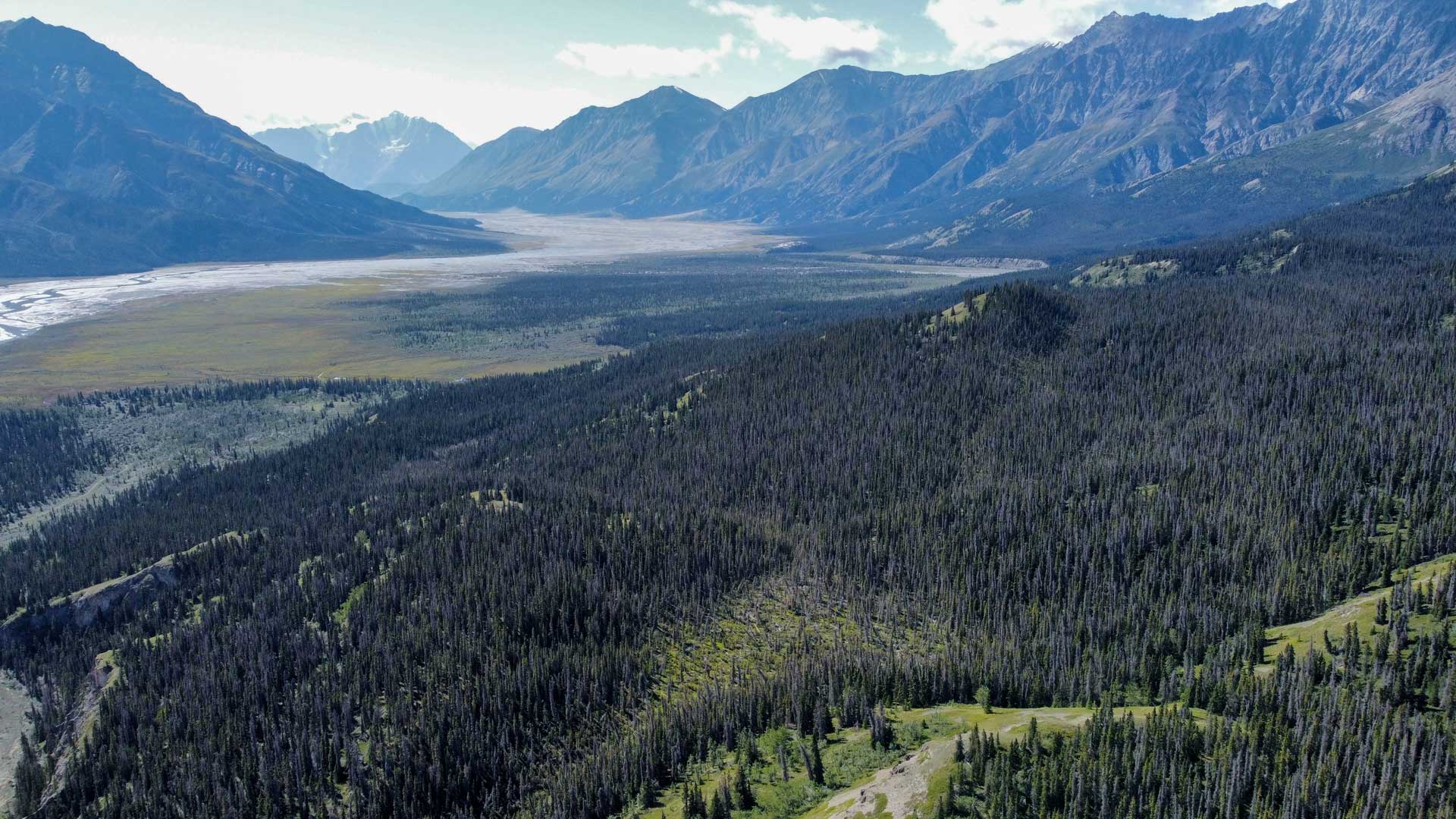 Rieka Slims - Yukon - PlaceMania